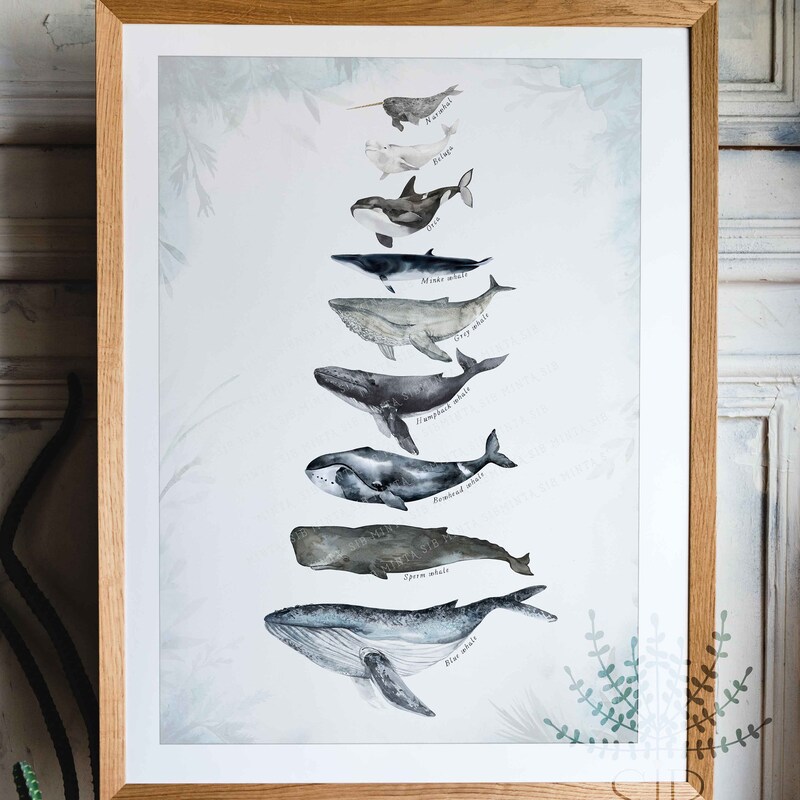 Whale Printables - Etsy
