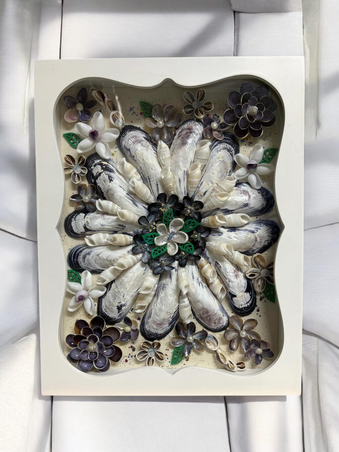 Seashell Collage Shadow Box, Mussel Shell Wall Art, Coastal Wall ...