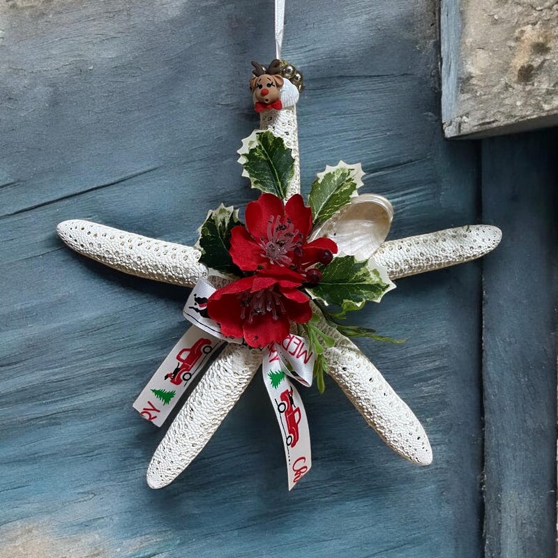 Starfish Decorations - Etsy