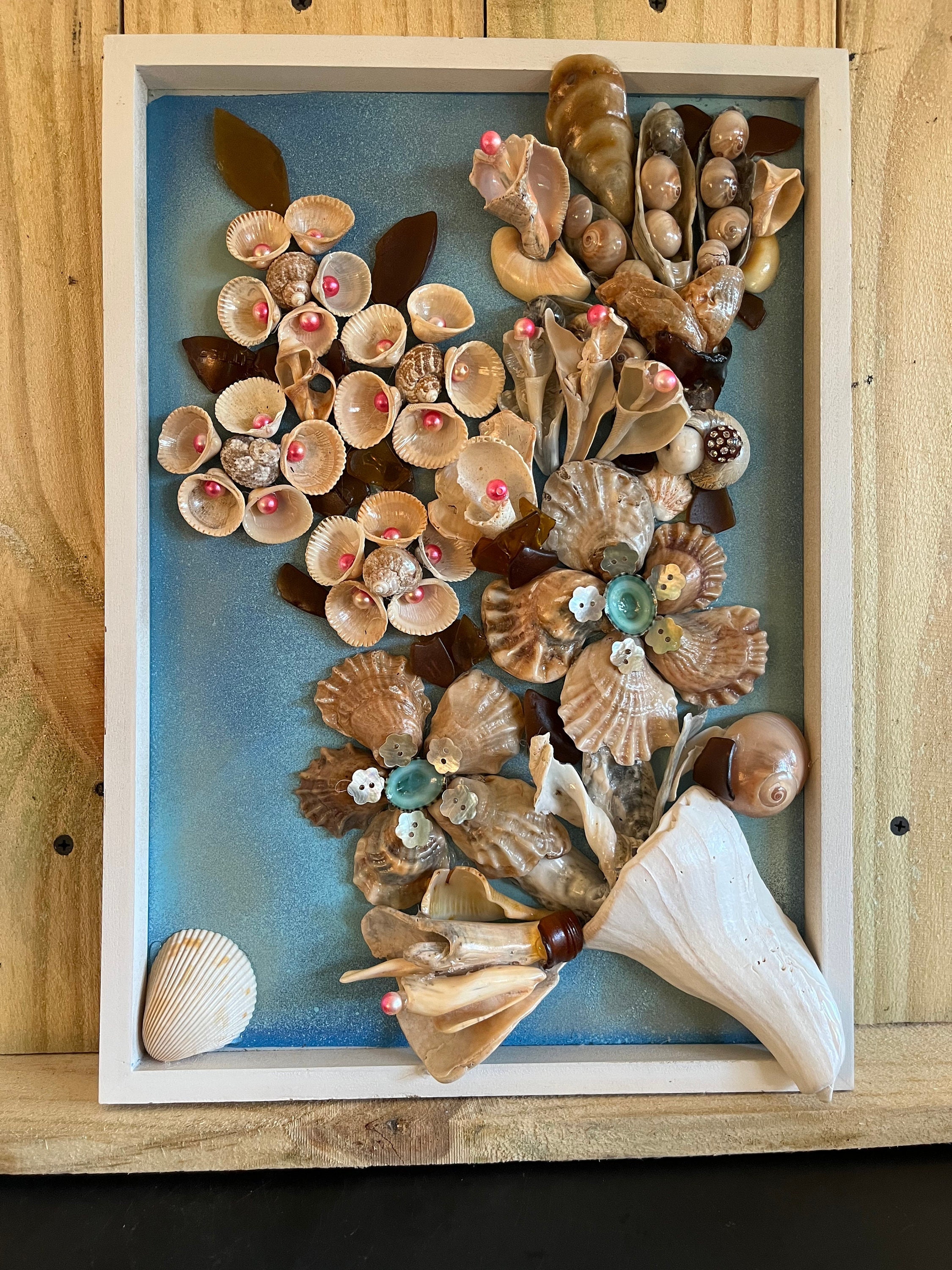 Framed Seashell Artwork