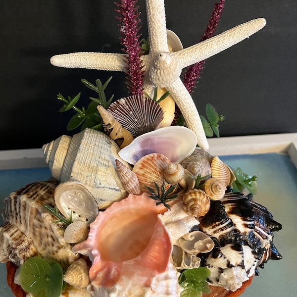 Seashell Sculpture - Etsy
