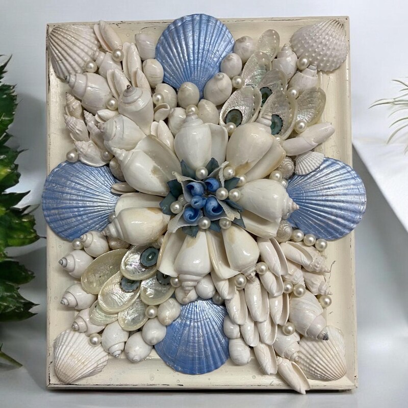 Framed Shell Art - Etsy
