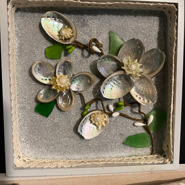 Seashell Hanging - Etsy