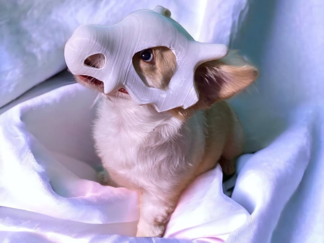 Adorable Cubone-inspired Dog Mask 3D Printed Skull Dinosaur-themed Pet ...