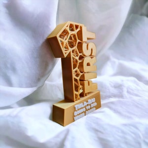 Personalisable Trophy: Custom Award for Achievements, Comedy, Events ...