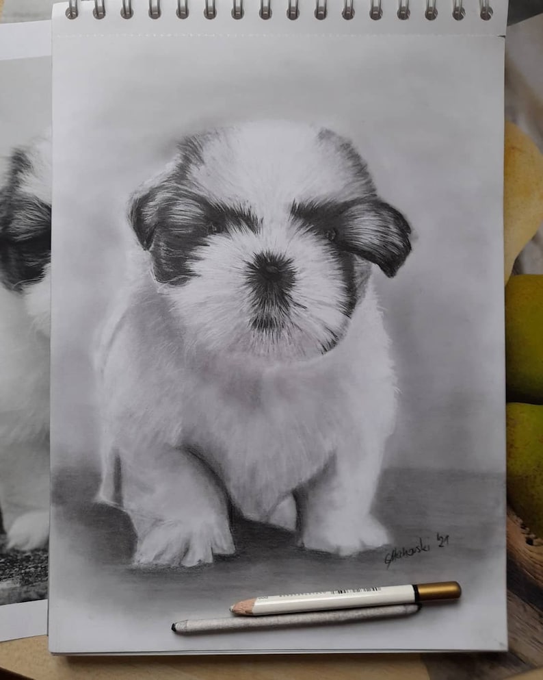 Realistic Custom Animal / People Portrait, Pencil Drawing From Photo - Etsy
