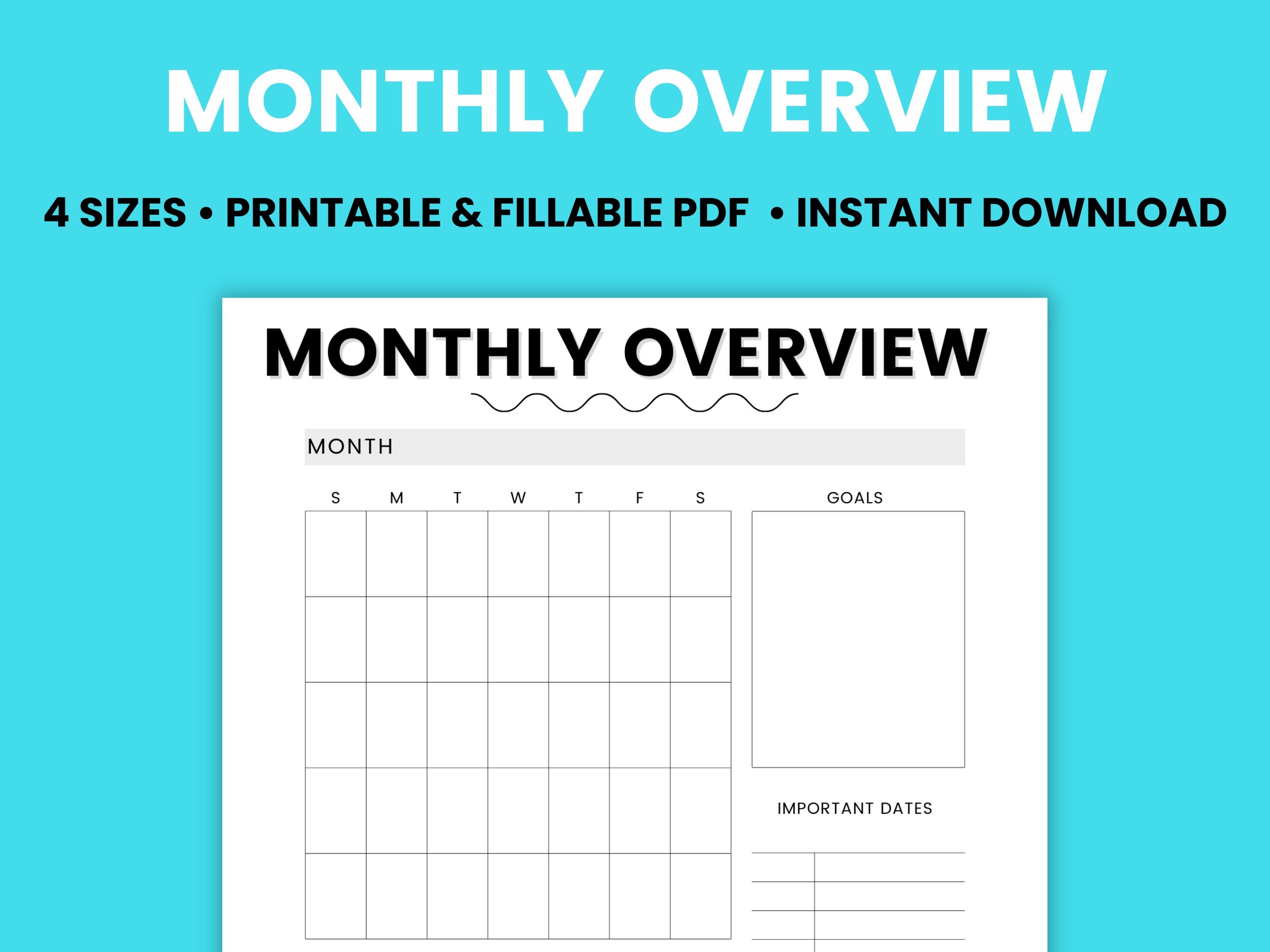 Monthly Overview Printable Template (editable + Fillable) • Letter/half ...