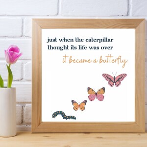 Just When the Caterpillar Thought It’s Life Was Over It Became a ...