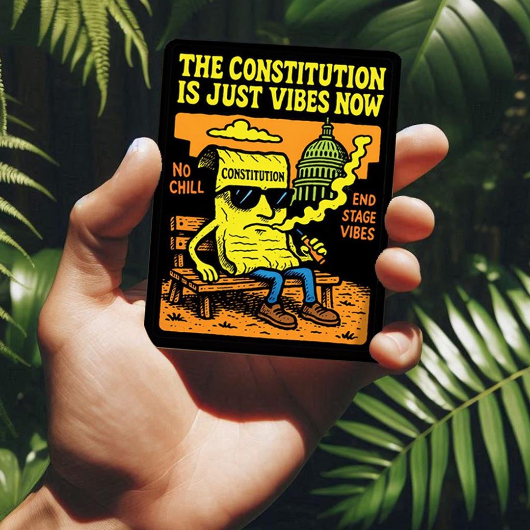 Constitution Vinyl Decals: Political Humor Stickers for Laptop, Water ...
