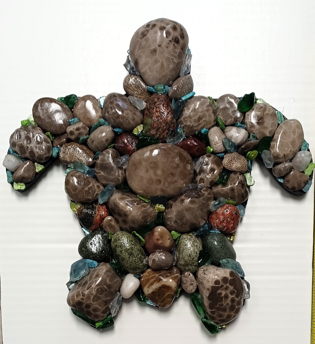 Petoskey Stone, Lake Rocks and Fossils Turtle - Etsy