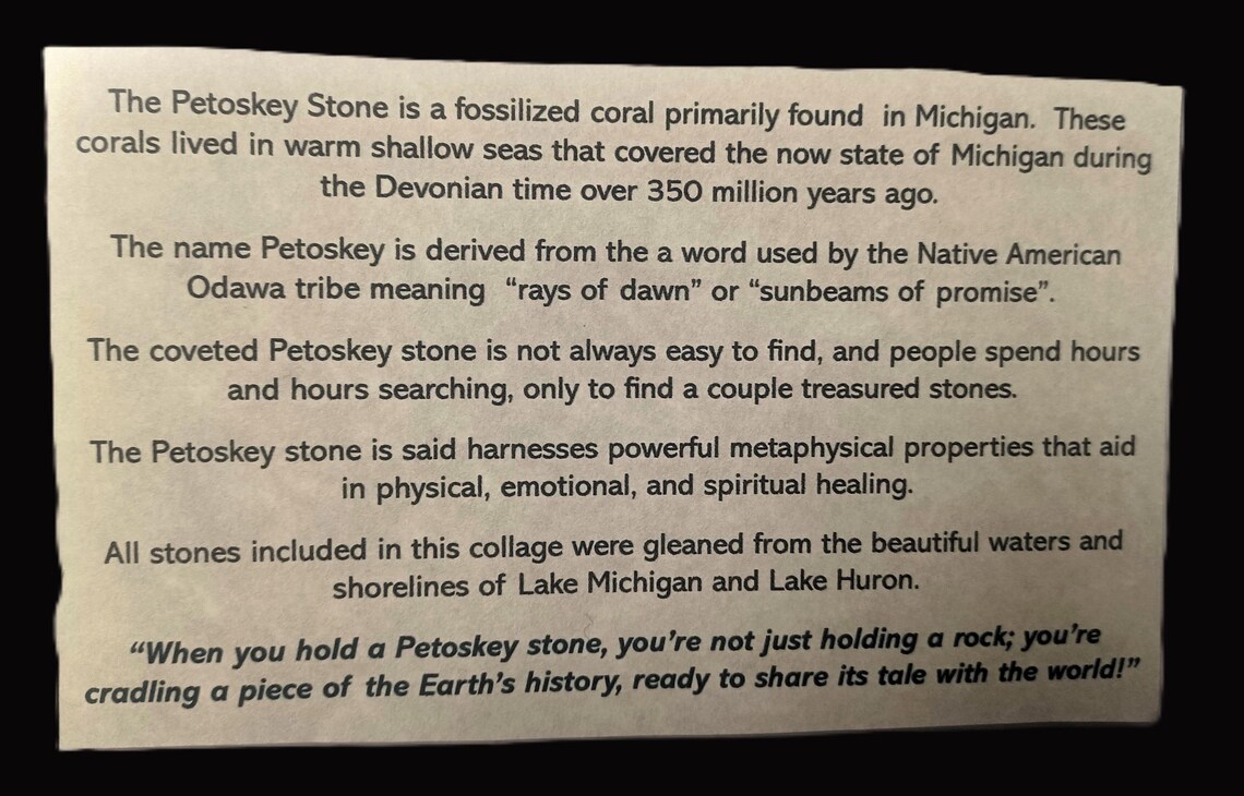 Petoskey Stone, Lake Rocks and Fossils Turtle - Etsy
