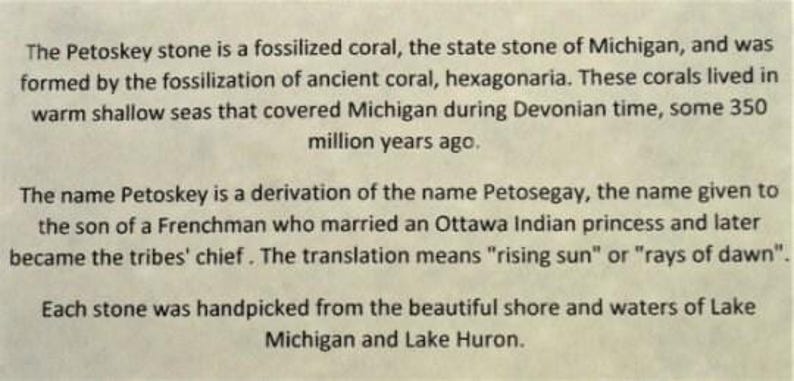 State of Michigan Both Peninsulas W/ Petoskey Stones and Fossils - Etsy