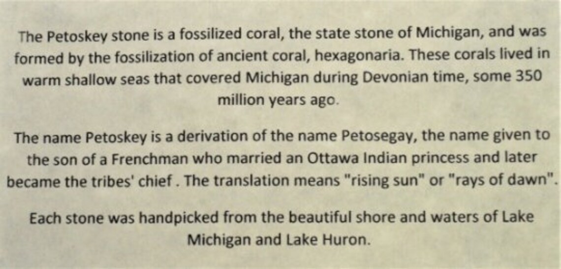 State of Michigan Petoskey Stone and Lake Rocks - Etsy