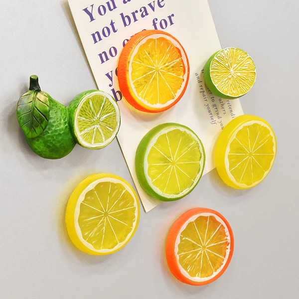 Funny Magnets Fridge - Etsy