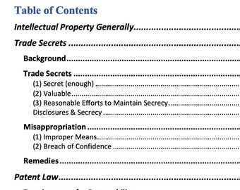 Intellectual Property Law School Outline Flowchart - Etsy