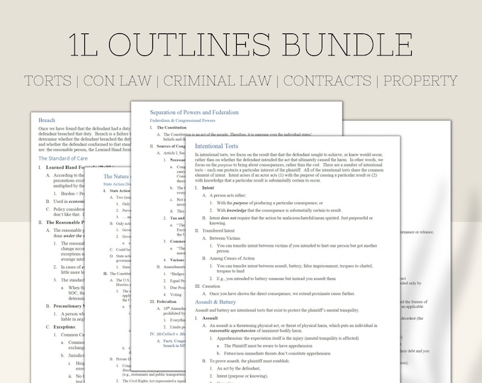 Business Organizations Law School Outline Flowchart - Etsy