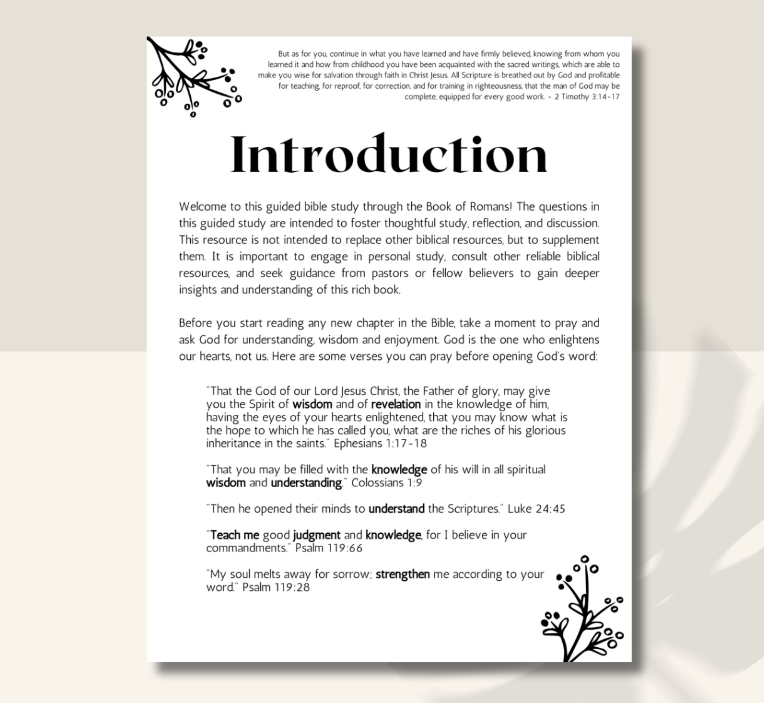 Romans Bible Study Guide | Christian Bible Study Template | Group Bible ...