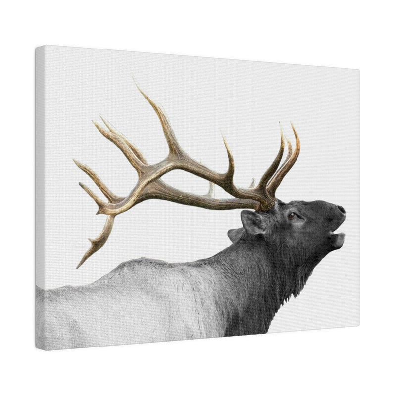 Elk Canvas Wall Art - Etsy