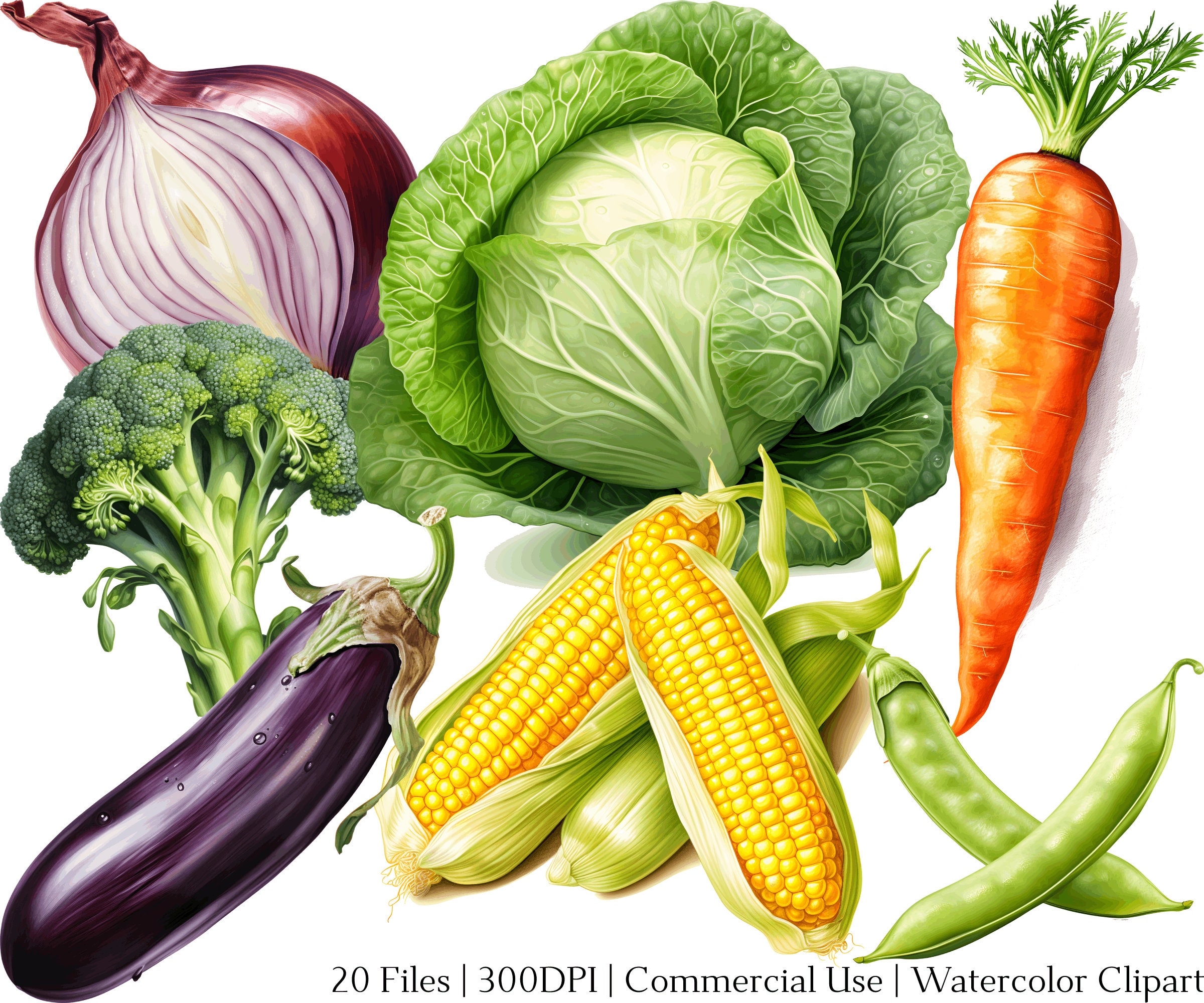 Watercolor Vegetables Clipart Set of 20 Files With Instant Download ...