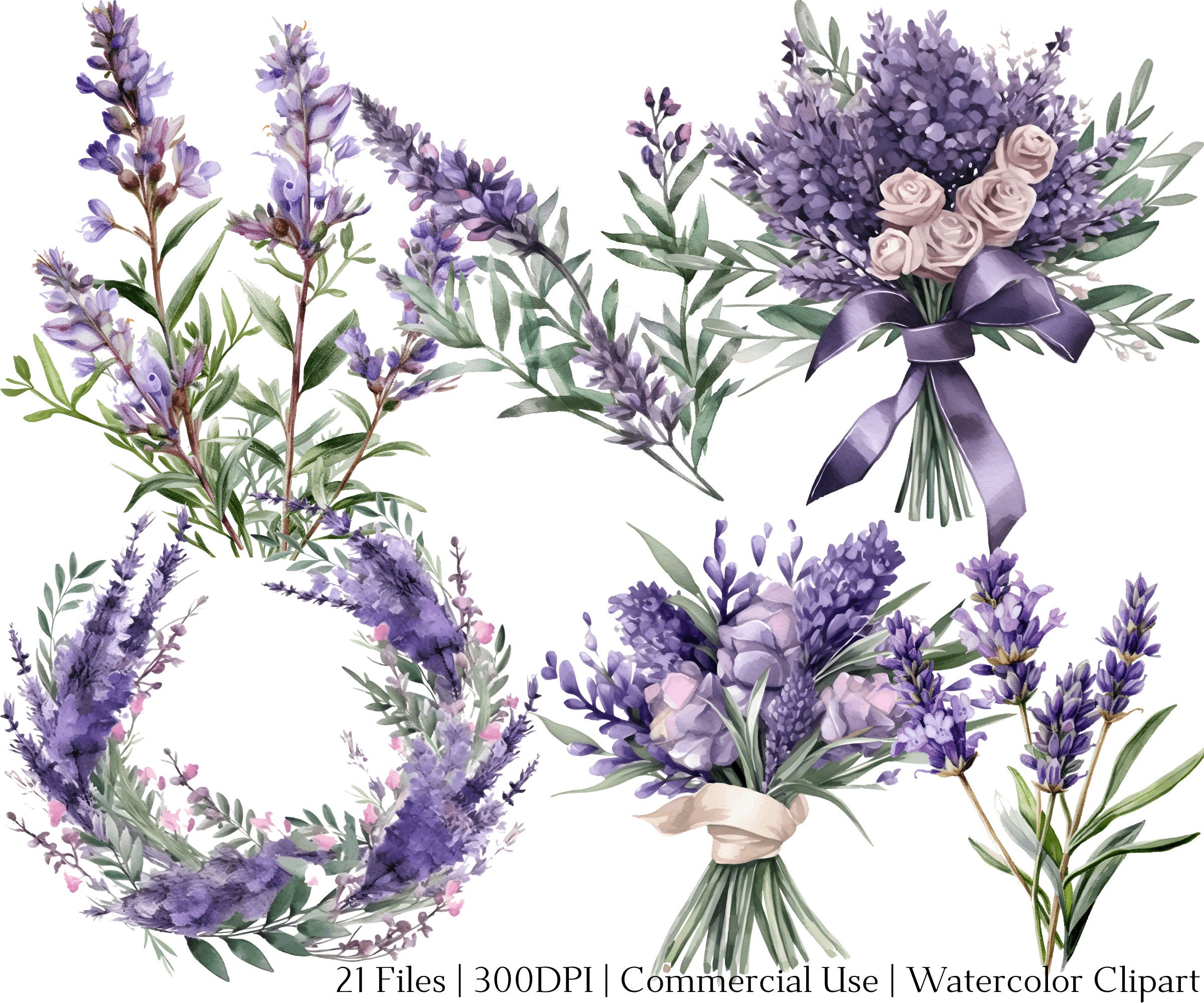 Watercolor Lavender Flower Clipart Set of 21 Files With Instant ...
