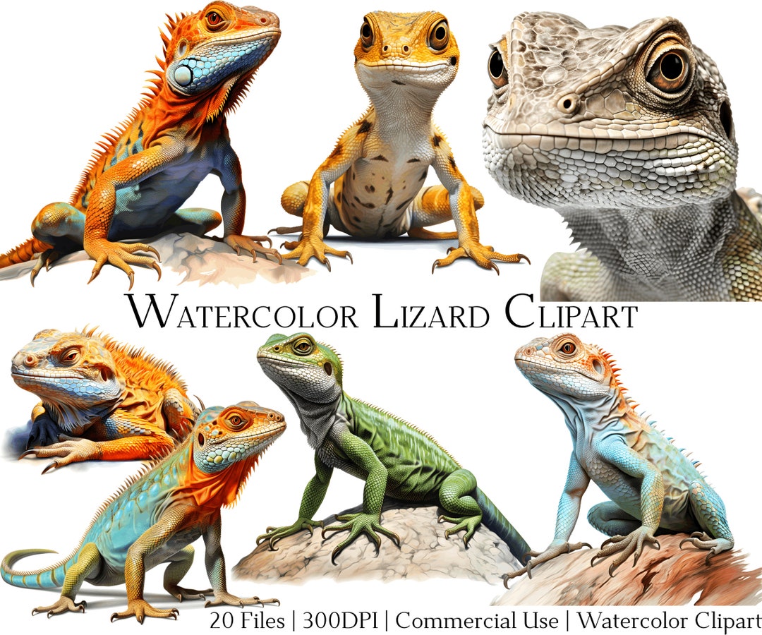Watercolor Lizard Clipart Set: Reptile & Desert Animal Art (PNG + PDF ...