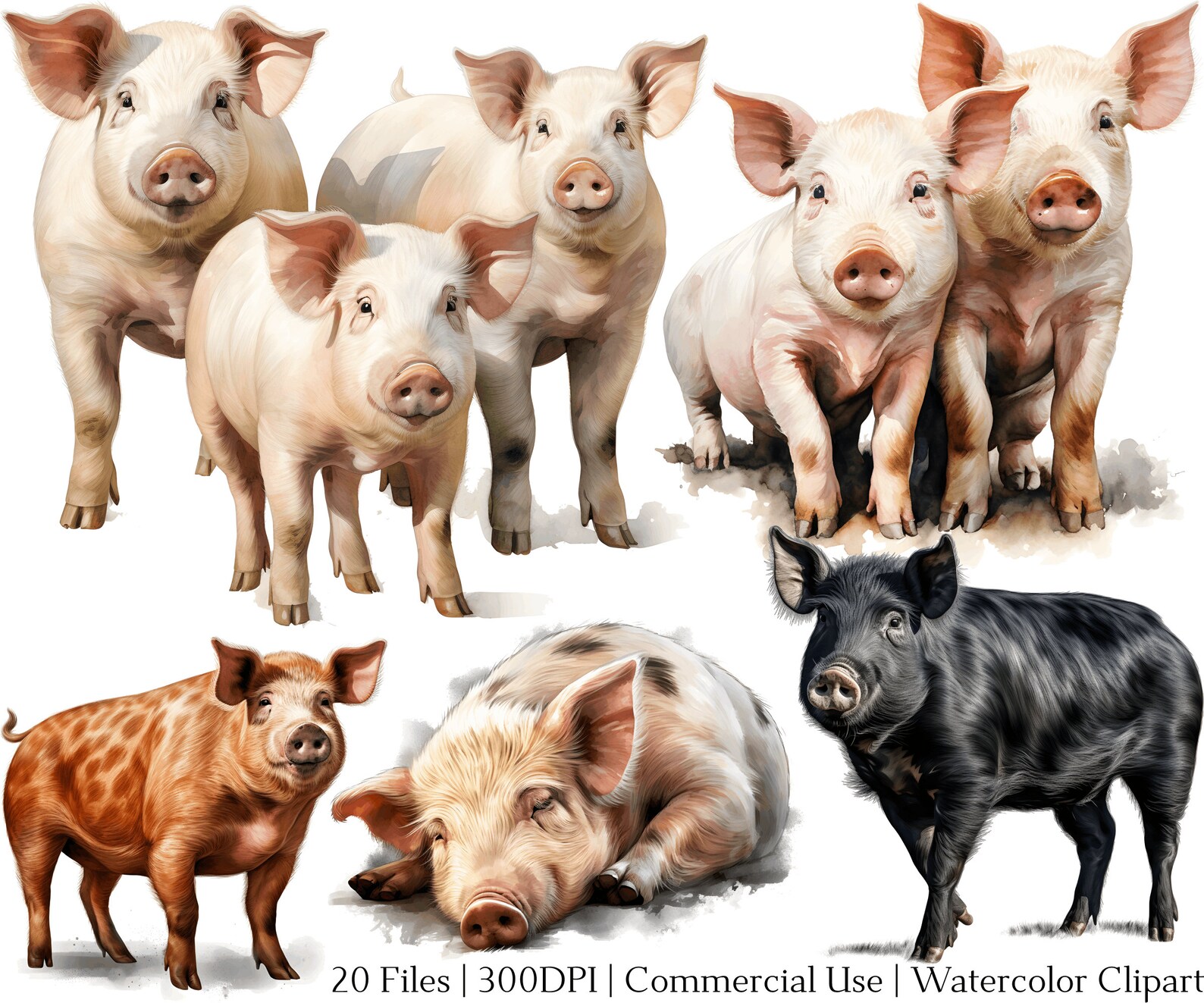 Watercolor Pig Clipart Set of 20 Files With Instant Download ...