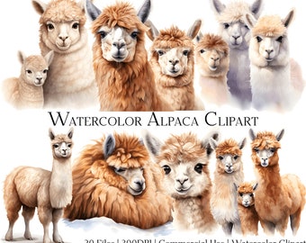 Watercolor Skeleton Keys Clipart Set of 20 Files With Instant Download ...