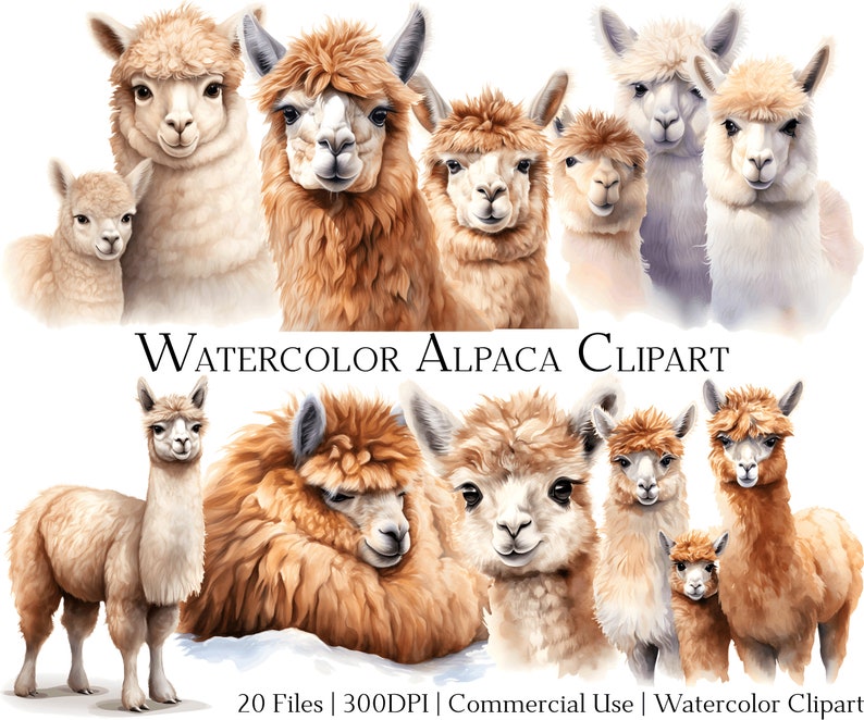 Watercolor Alpaca Clipart Set of 20 Files With Instant Download ...