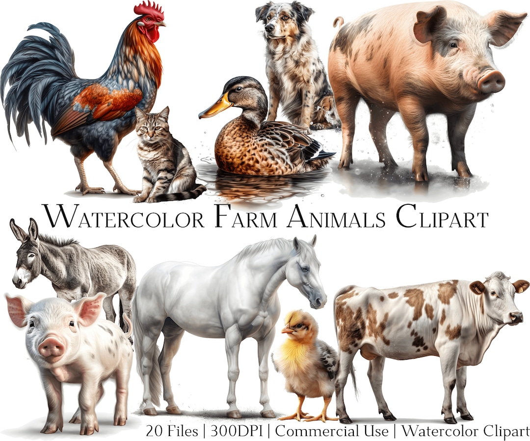 Watercolor Farm Animals Clipart: 20 PNG & PDF Files (commercial Use) - Etsy