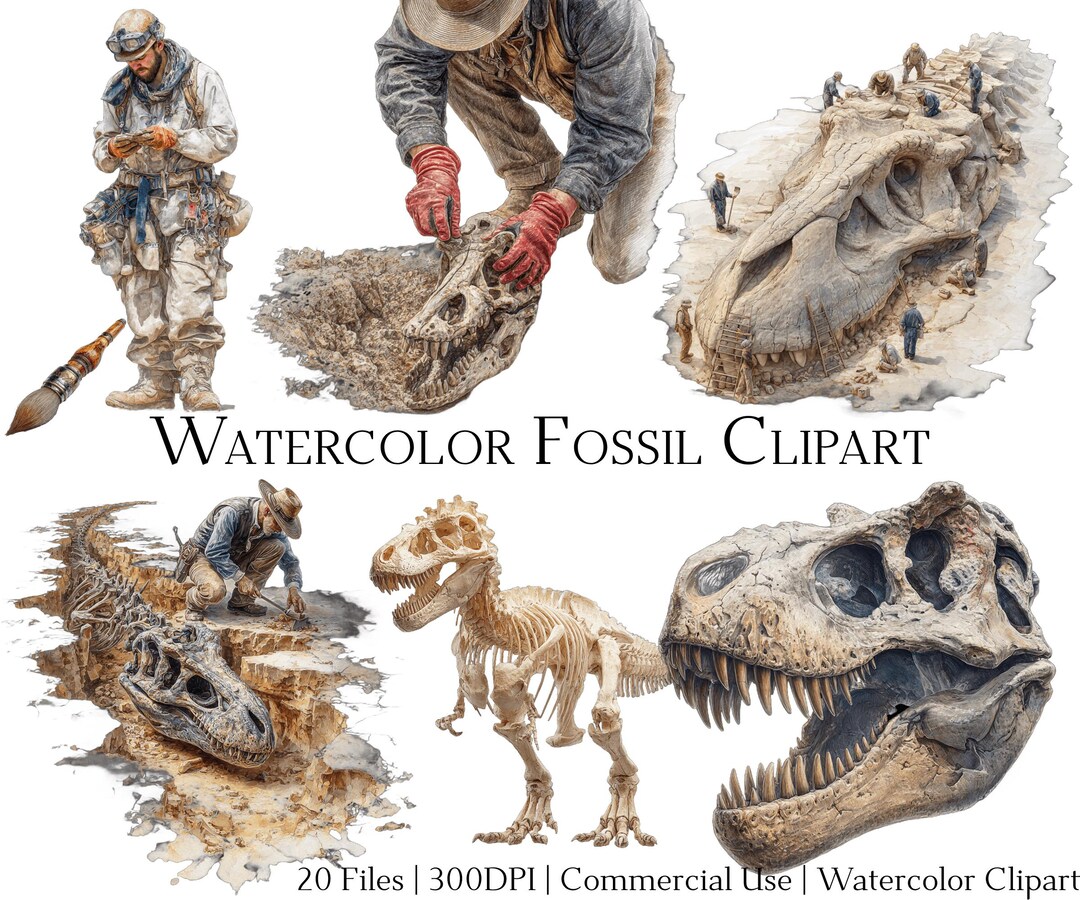 Watercolor Fossils Clipart Set: 20 PNG & PDF Files, Commercial Use - Etsy
