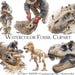 Watercolor Fossils Clipart Set: 20 PNG & PDF Files, Commercial Use - Etsy