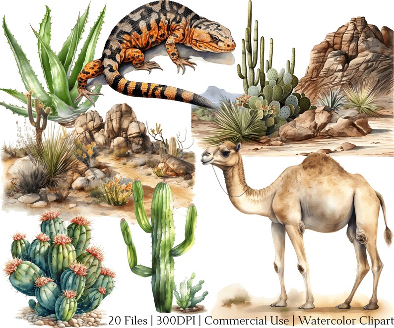 Watercolor Desert Elements Clipart Set of 20 Files With Instant ...