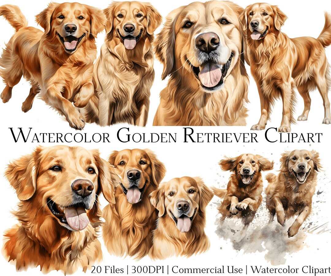 Watercolor Golden Retriever Clipart: 20 PNG + PDF Files (commercial Use ...
