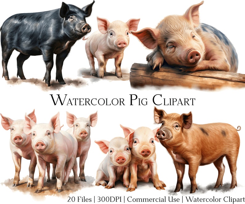 Watercolor Pig Clipart Set of 20 Files With Instant Download ...