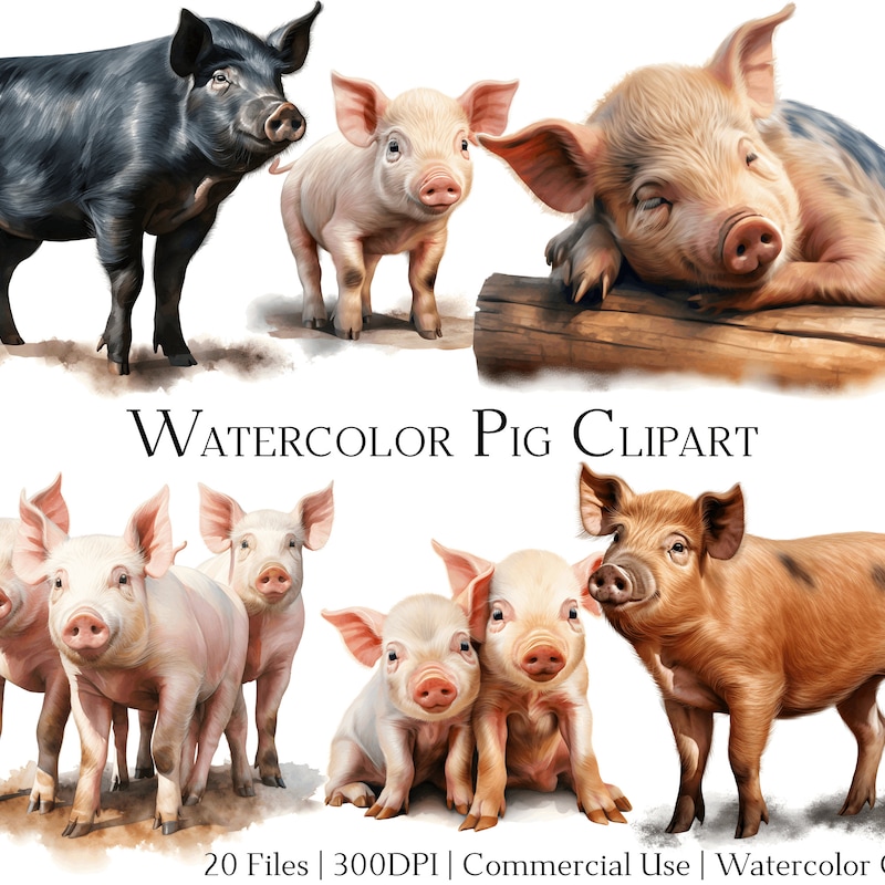 Pig Clipart - Etsy