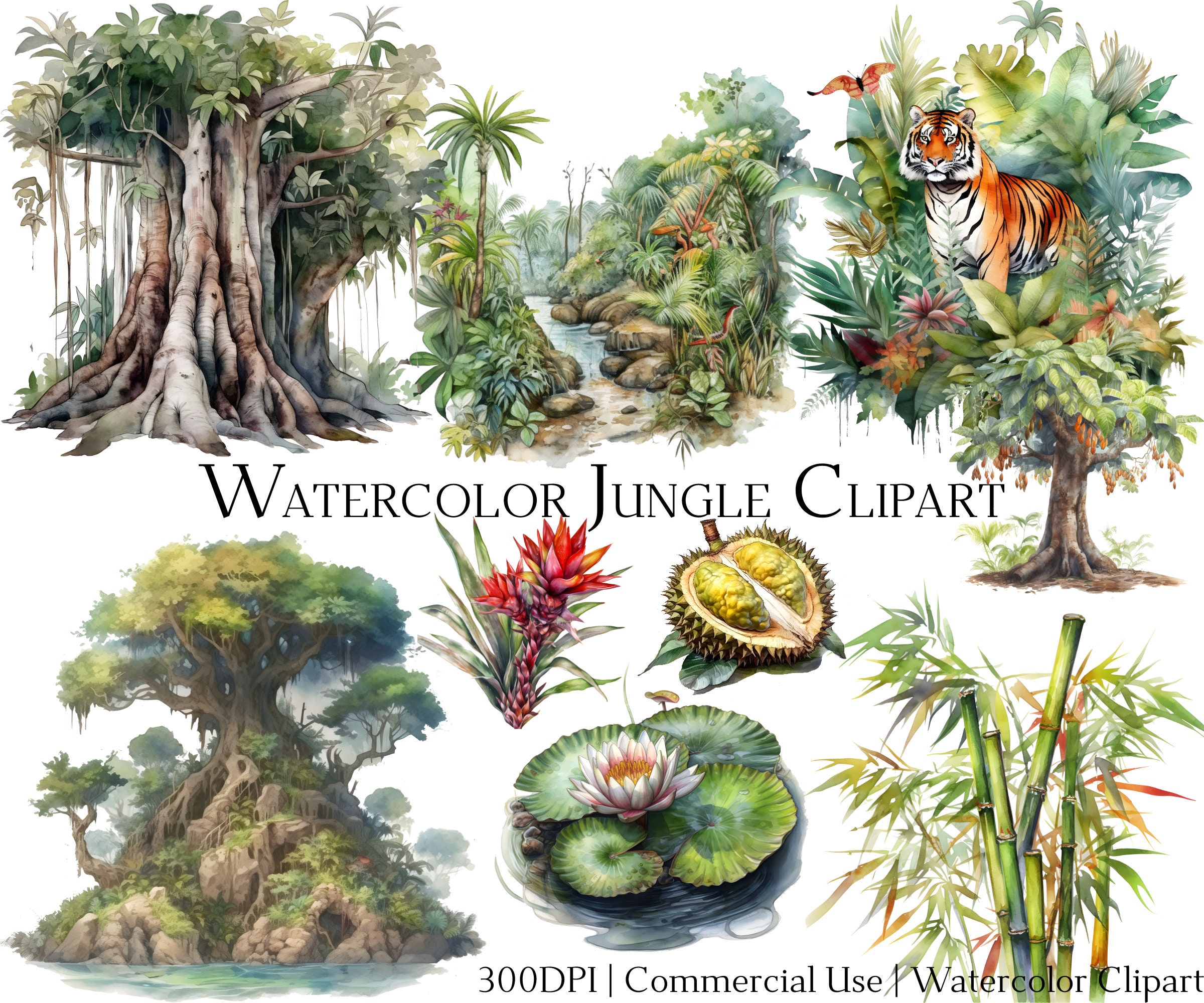 Clipart Of Rainforest