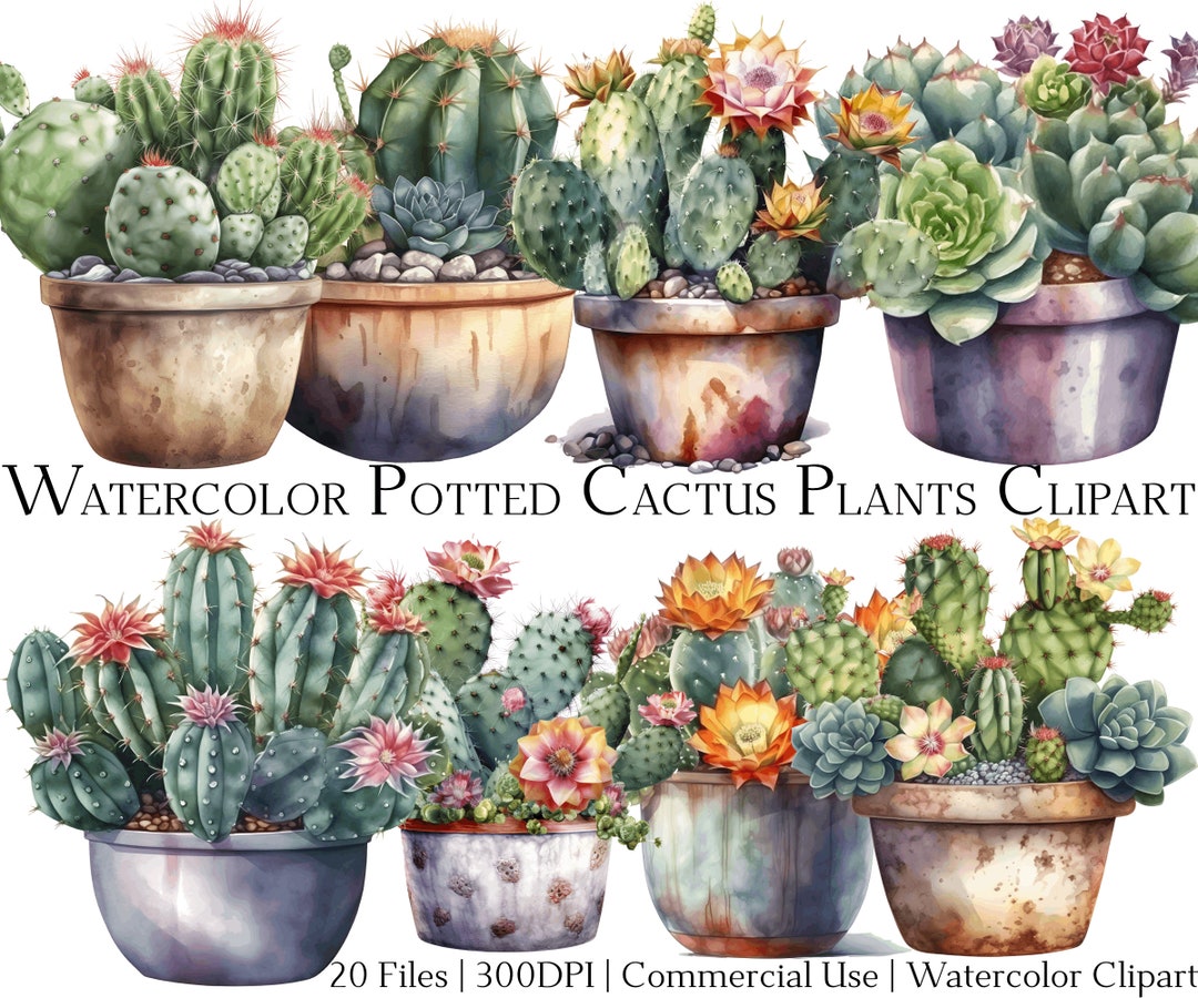 Watercolor Potted Cactus Plants Clipart Set of 20 Files With Instant ...