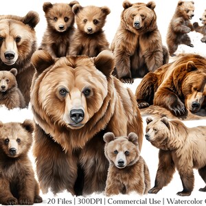 Watercolor Brown Bears Clipart Set of 20 Files With Instant Download ...