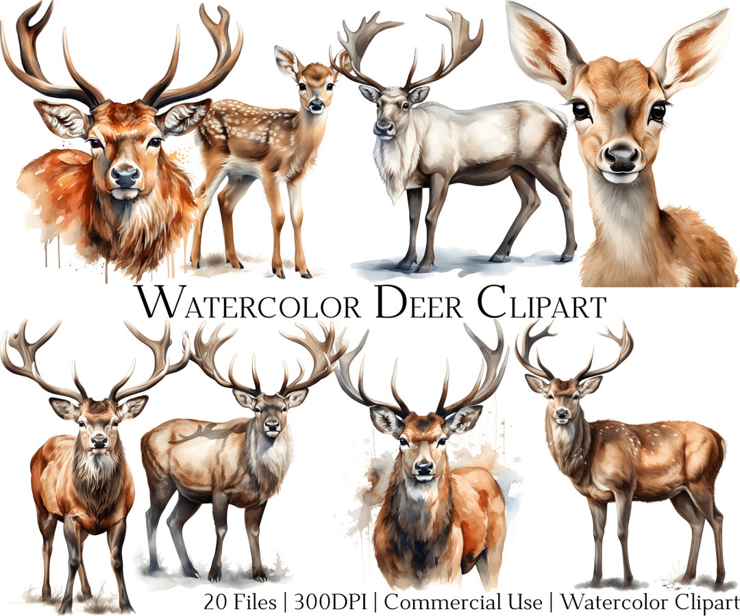 Watercolor Deer Clipart Set of 20 Files With Instant Download ...