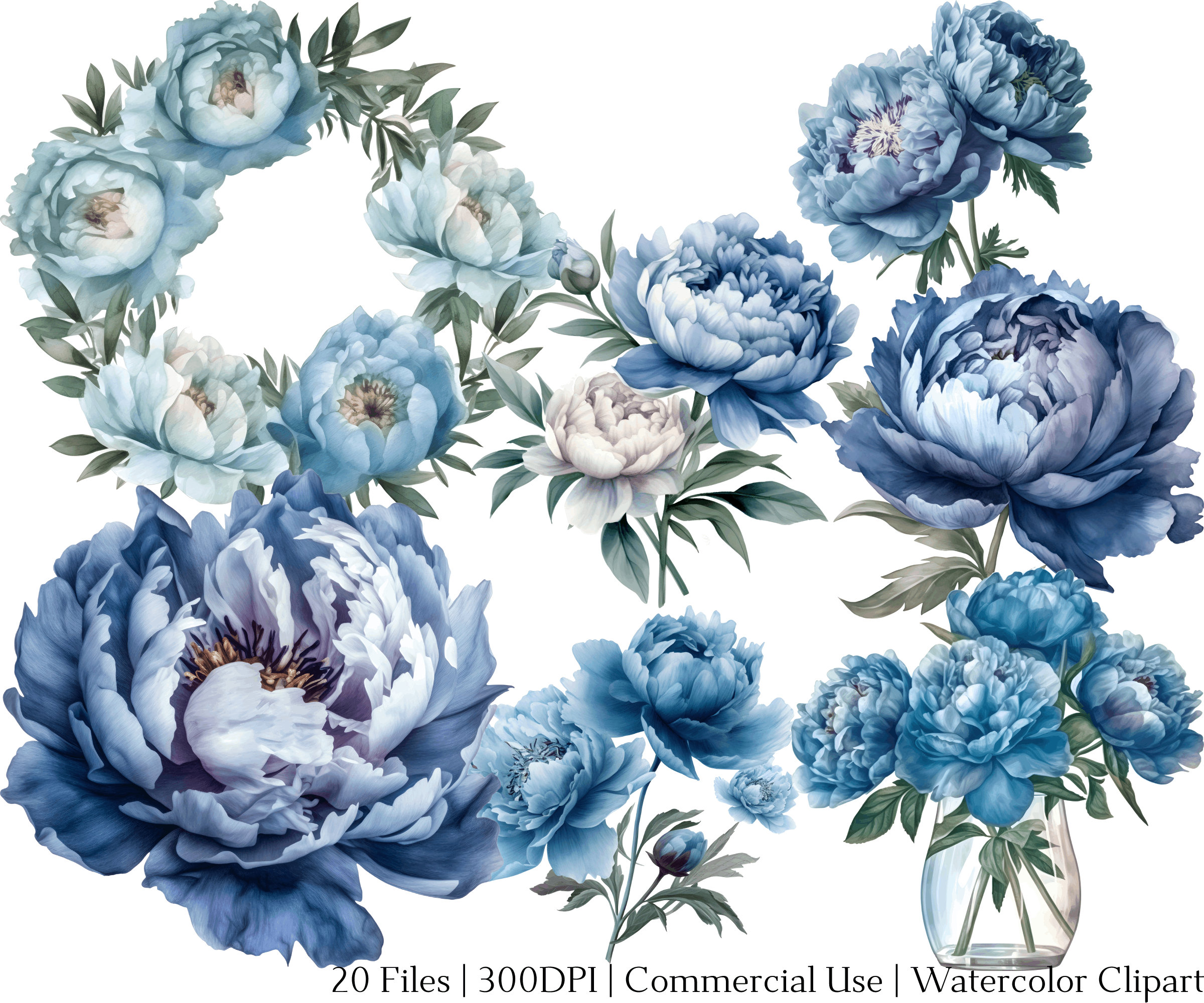 Watercolor Blue Peonies Clipart Set: DIY Floral Graphics (PNG + PDF) - Etsy