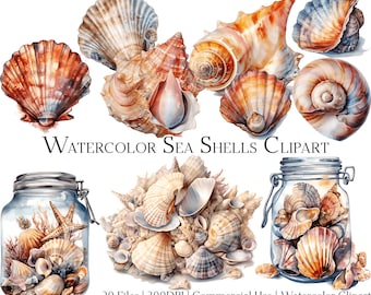 Watercolor Pelican Clipart Set of 20 Files With Instant Download ...