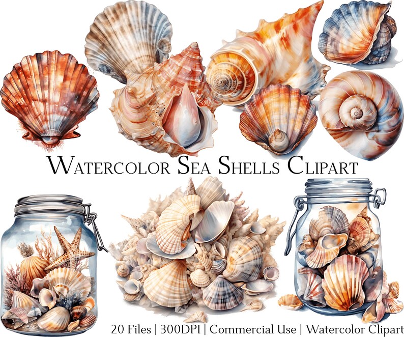 Watercolor Sea Shells Clipart Set of 20 Files With Instant Download ...