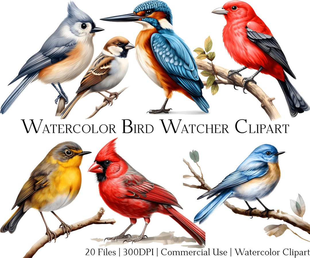 Watercolor Bird Watcher Clipart Set of 20 Files With Instant Download ...