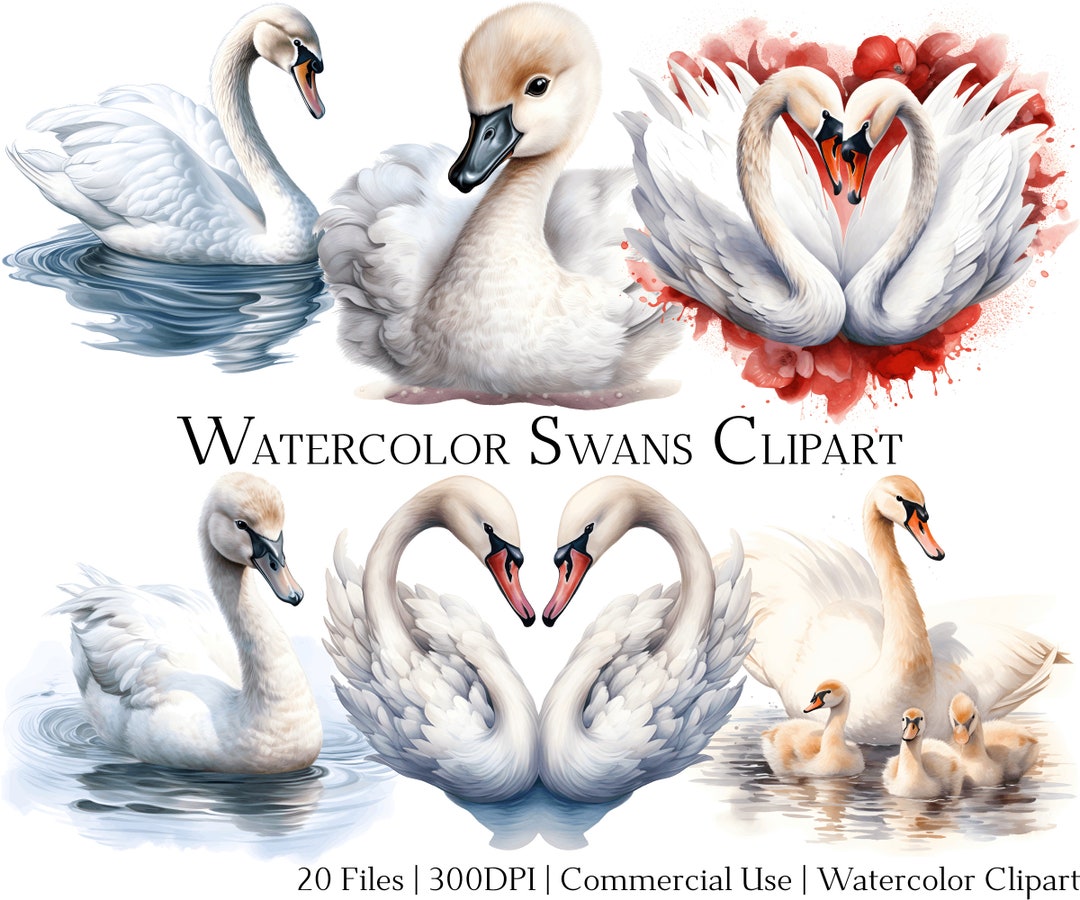 Watercolor Swans Clipart Set of 20 Files With Instant Download ...