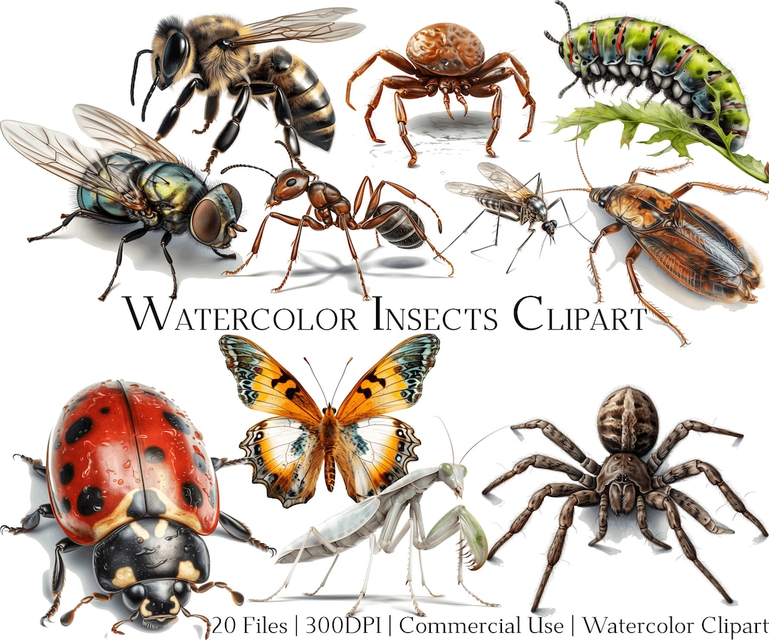 Watercolor Insects Clipart Set of 20 Files With Instant Download ...