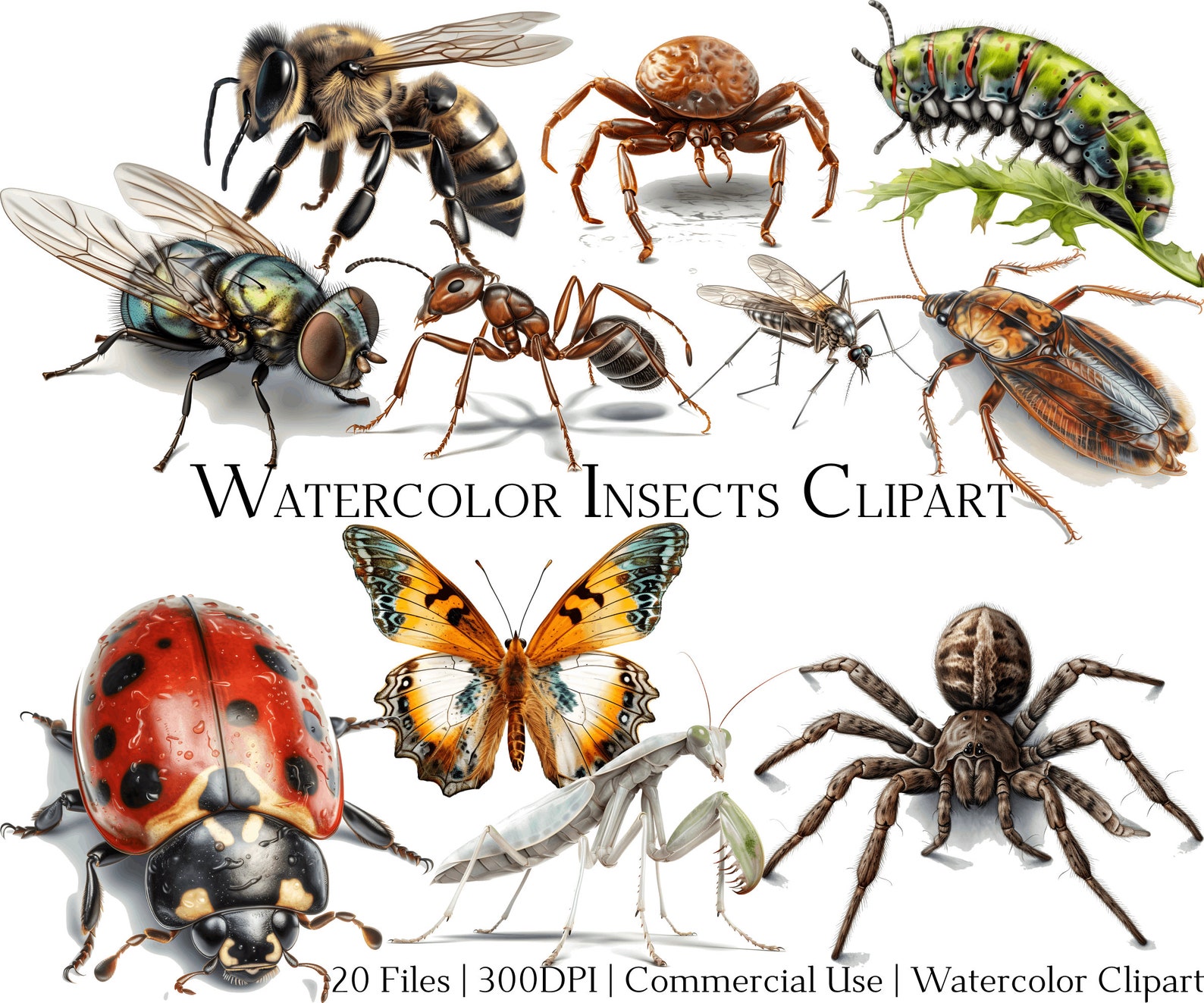 Watercolor Insects Clipart Set of 20 Files With Instant Download ...
