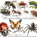 Watercolor Insects Clipart Set of 20 Files With Instant Download ...