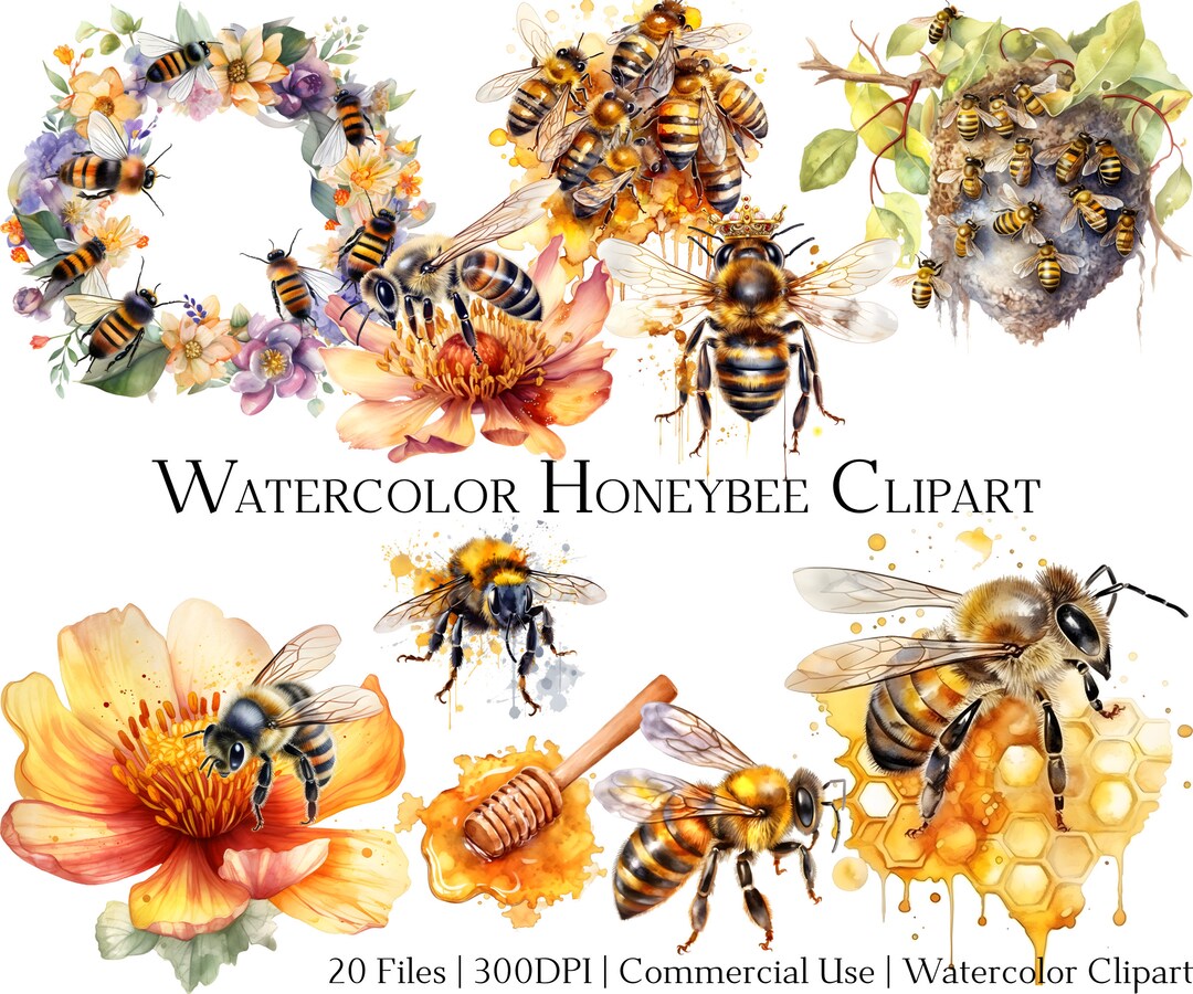 Watercolor Honeybee Clipart Set: Boho Bee Art (PNG + PDF) - Etsy