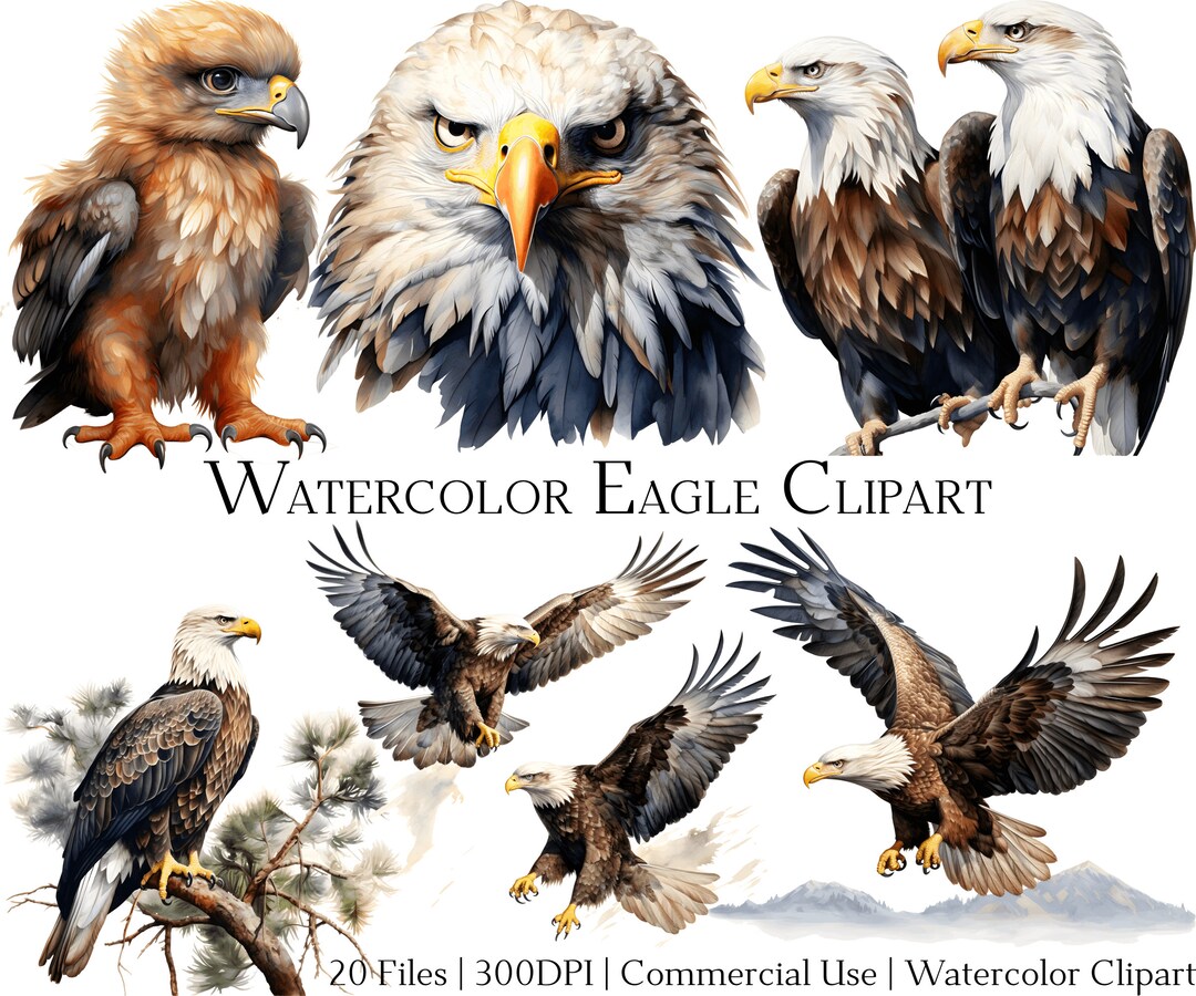 Watercolor Eagle Clipart Set: 20 PNG & PDF Files, Commercial Use - Etsy