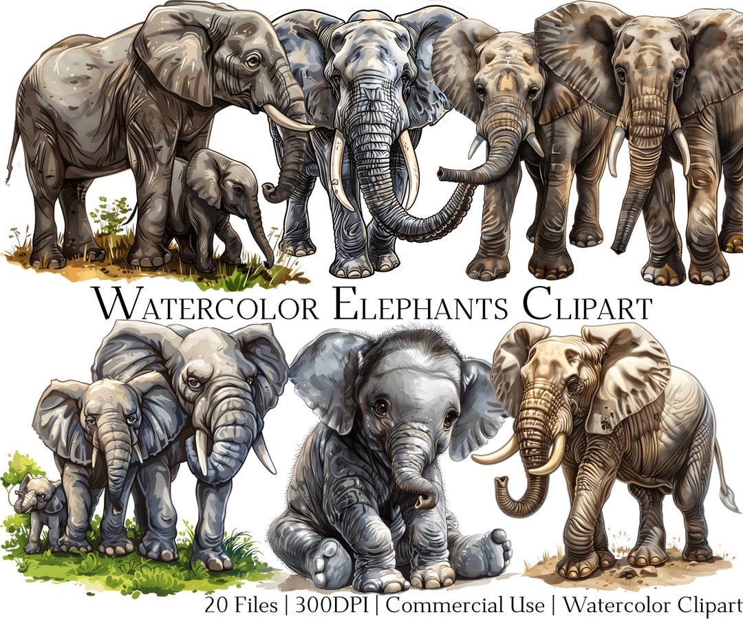 Watercolor Elephant Clipart Set of 20 Files With Instant Download ...
